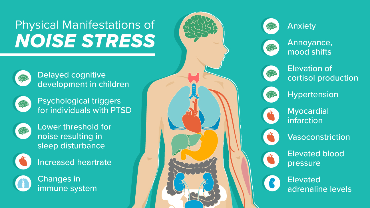 Harmful Effects Of Noise Pollution On Human Body Harmful Effects Of Noise Pollution On Human Body