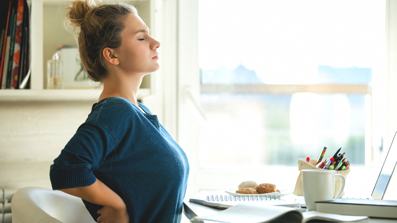 Kidney Blood Vessels Diagram & Function | Body Maps