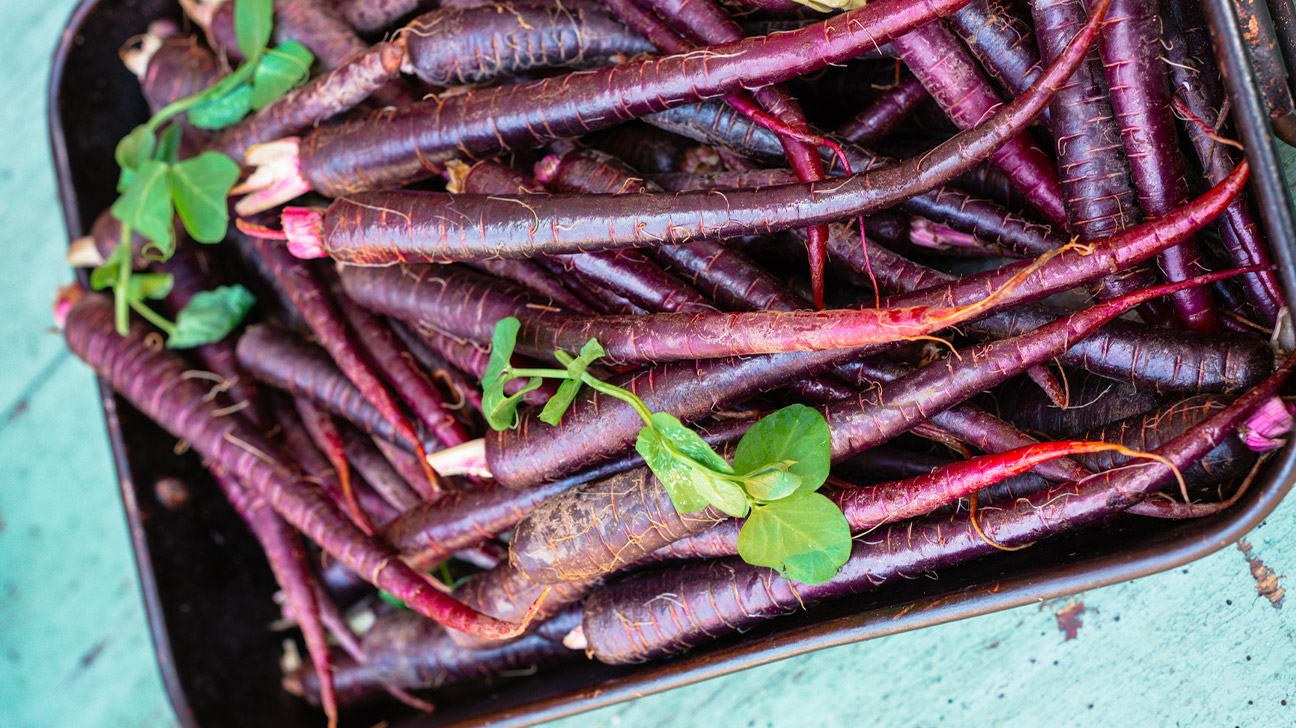Are Purple Carrots Healthier? Nutrition, Benefits, and Uses