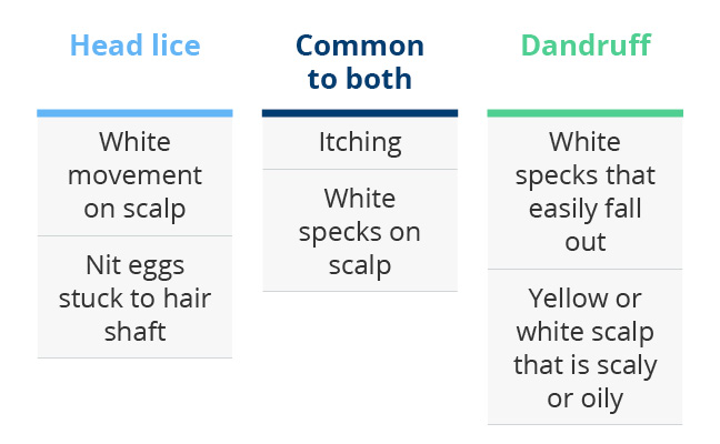 Lice vs. Dandruff: How Do I Tell the Difference?