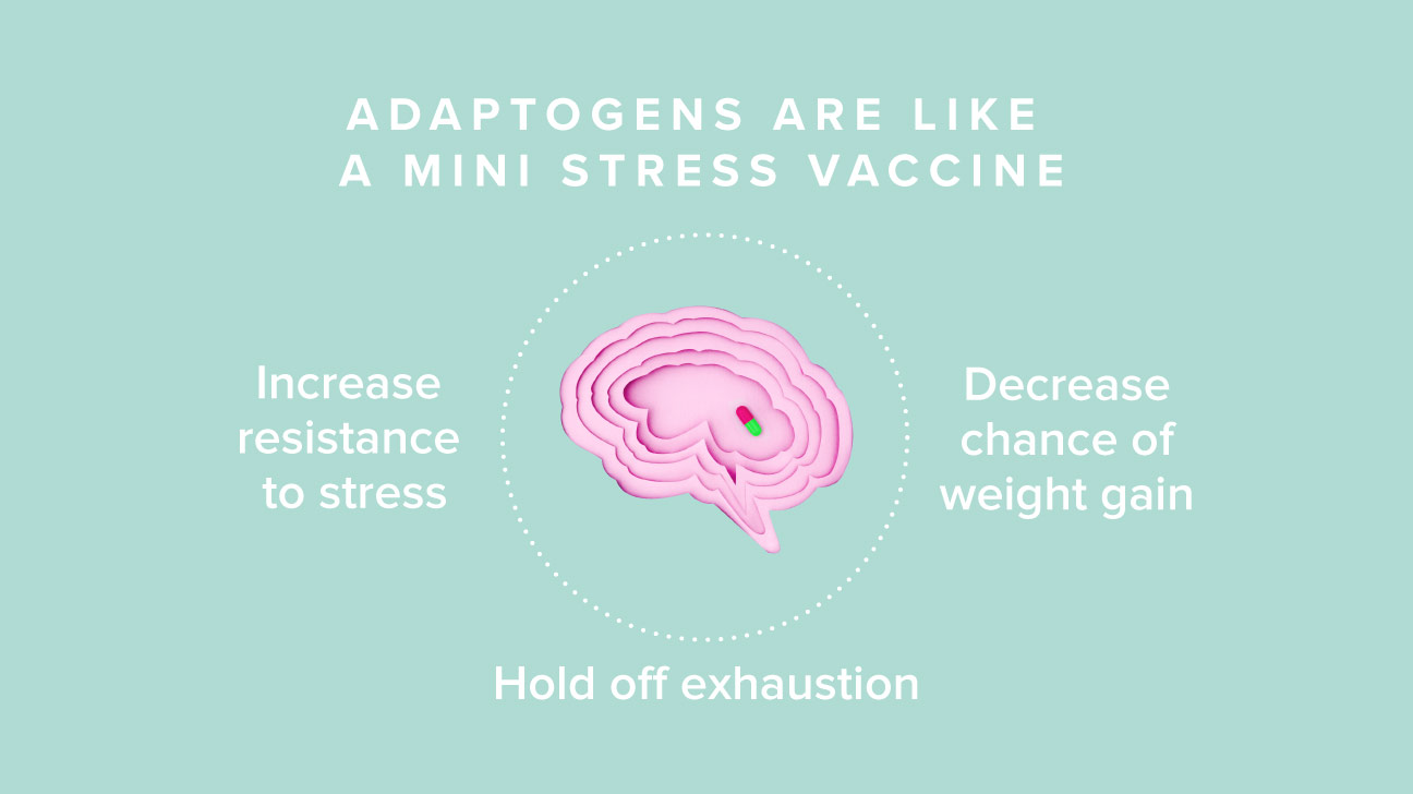 12 Adaptogènes pour le stress et l'équilibre hormonal - et comment les ...