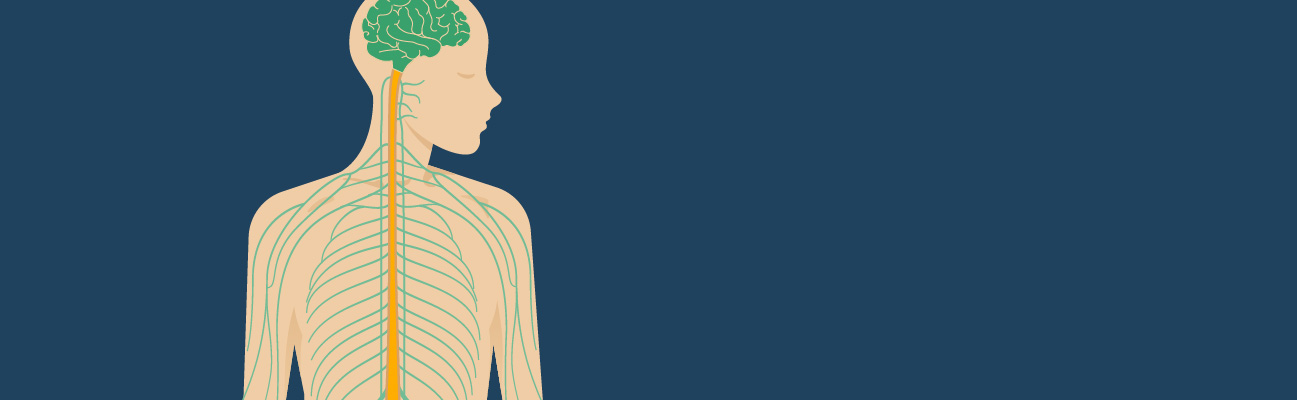 7 Pictures of Multiple Sclerosis: How MS Affects Your Brain