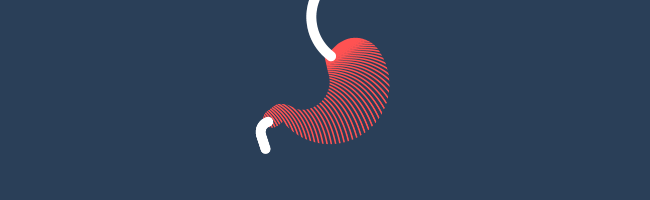 What Are the Functions of the Muscular System?