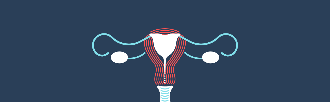 What Are the Functions of the Muscular System?